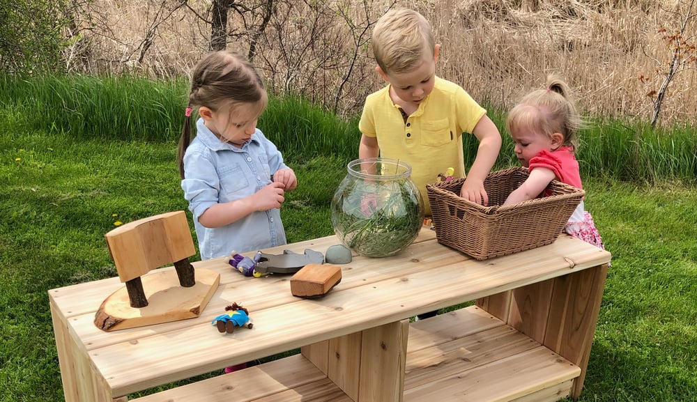 Scholar’s Choice and the Playful Learning Approach