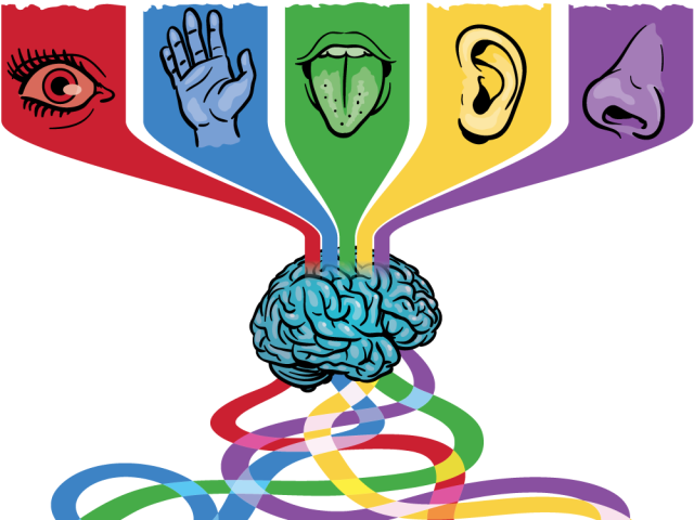 Understanding our Children's Sensory Needs!